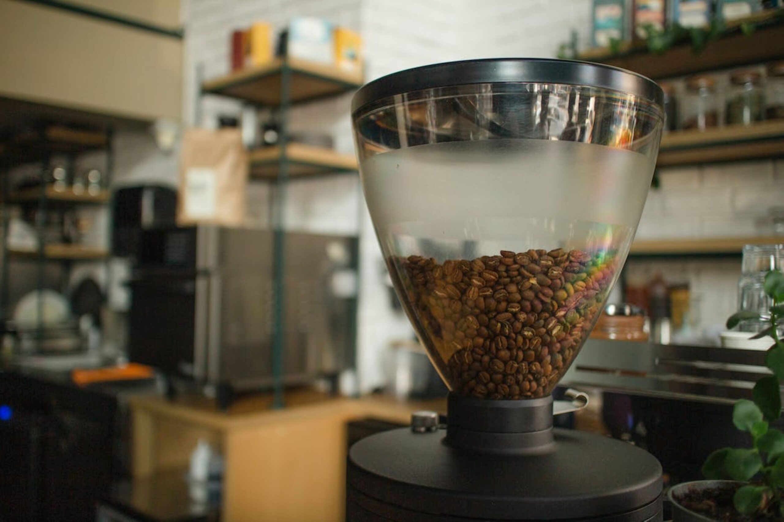 Best Coffee Container for Freshness and Flavor - Coffee Lovers Guide